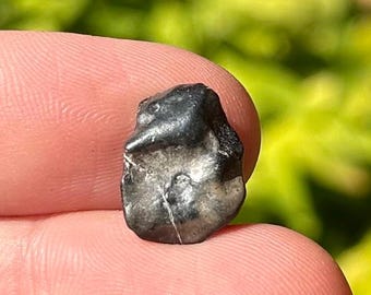 RARE Iguanodon Dinosaur Tooth Fossil Hastings UK Cretaceous Age Dino ...