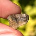 RARE Iguanodon Dinosaur Tooth Fossil Hastings UK Cretaceous Age Dino ...