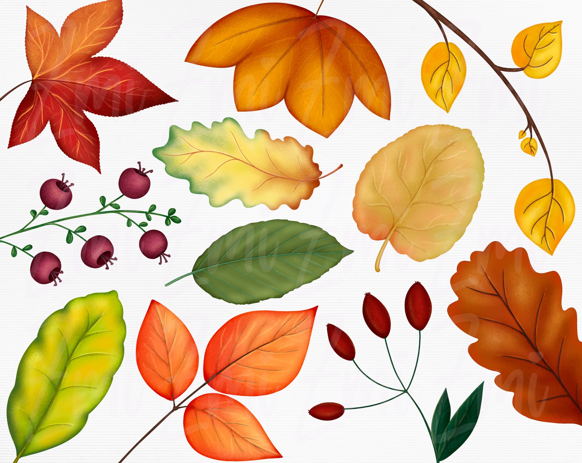Thanksgiving Fall Leaves Clipart, Green Leaves Fall Png, Maple Leaf ...