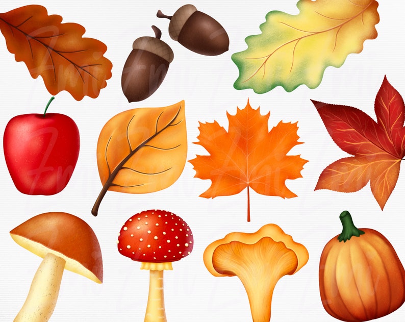 Fall Clipart, Cozy Autumn Png, Fall Printable Leaves, Halloween ...