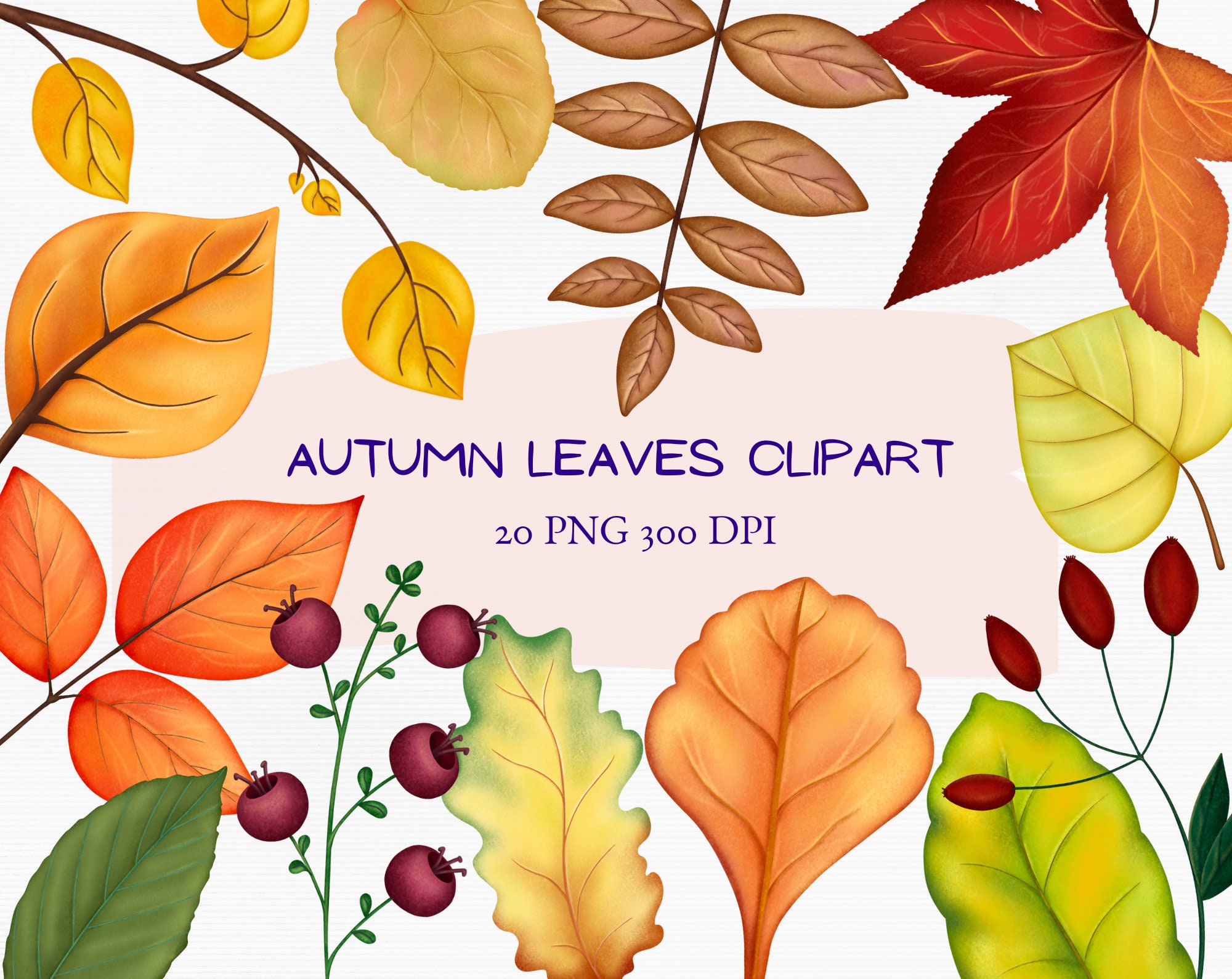 Thanksgiving Fall Leaves Clipart, Green Leaves Fall Png, Maple Leaf ...