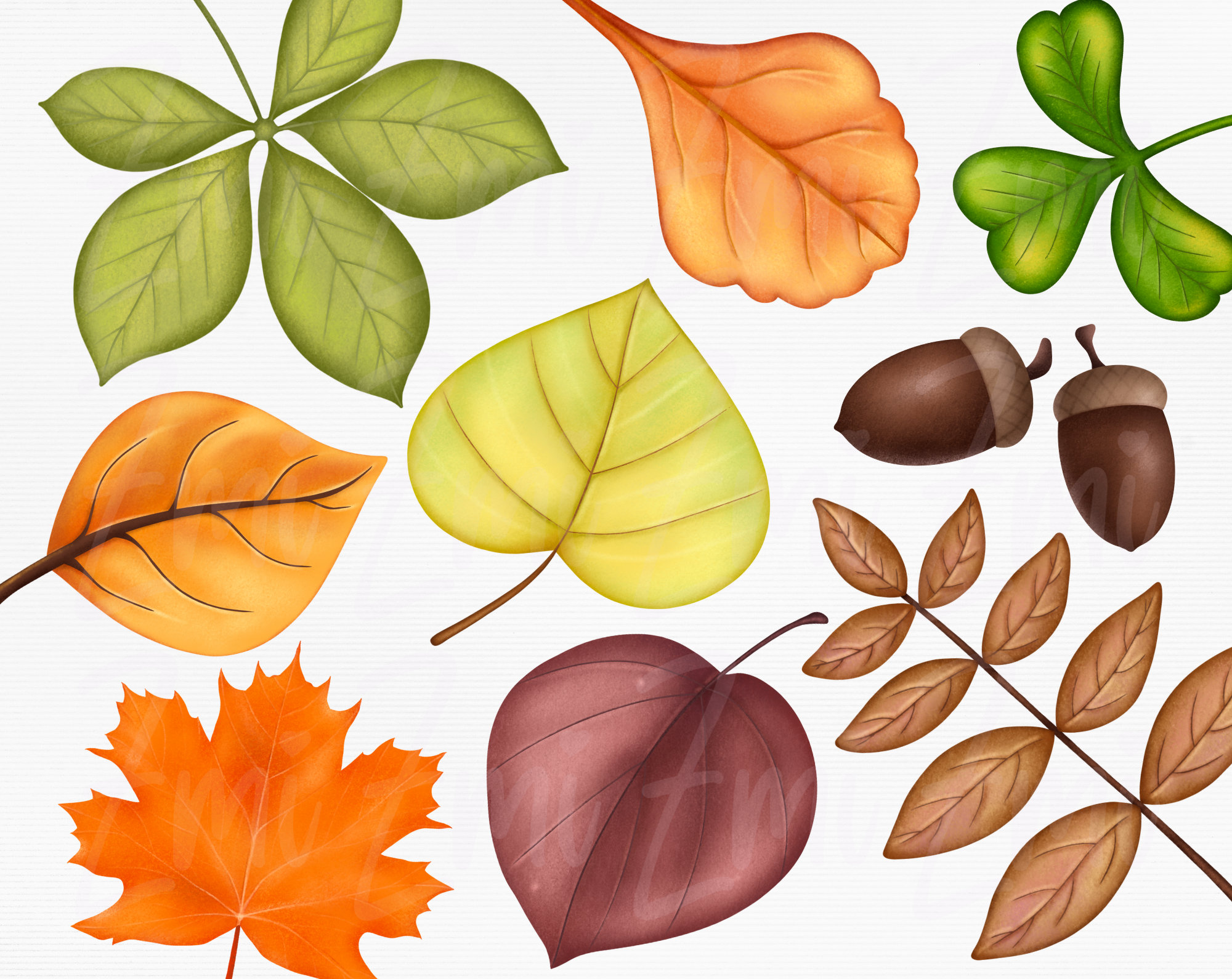 Thanksgiving Fall Leaves Clipart, Green Leaves Fall Png, Maple Leaf ...