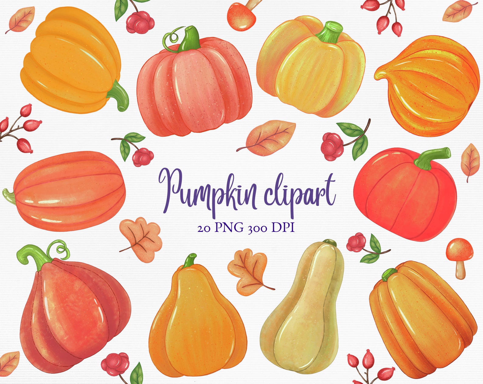 Pumpkin Clipart | Printable Pumpkins PNG | Fall Harvest Illustration ...