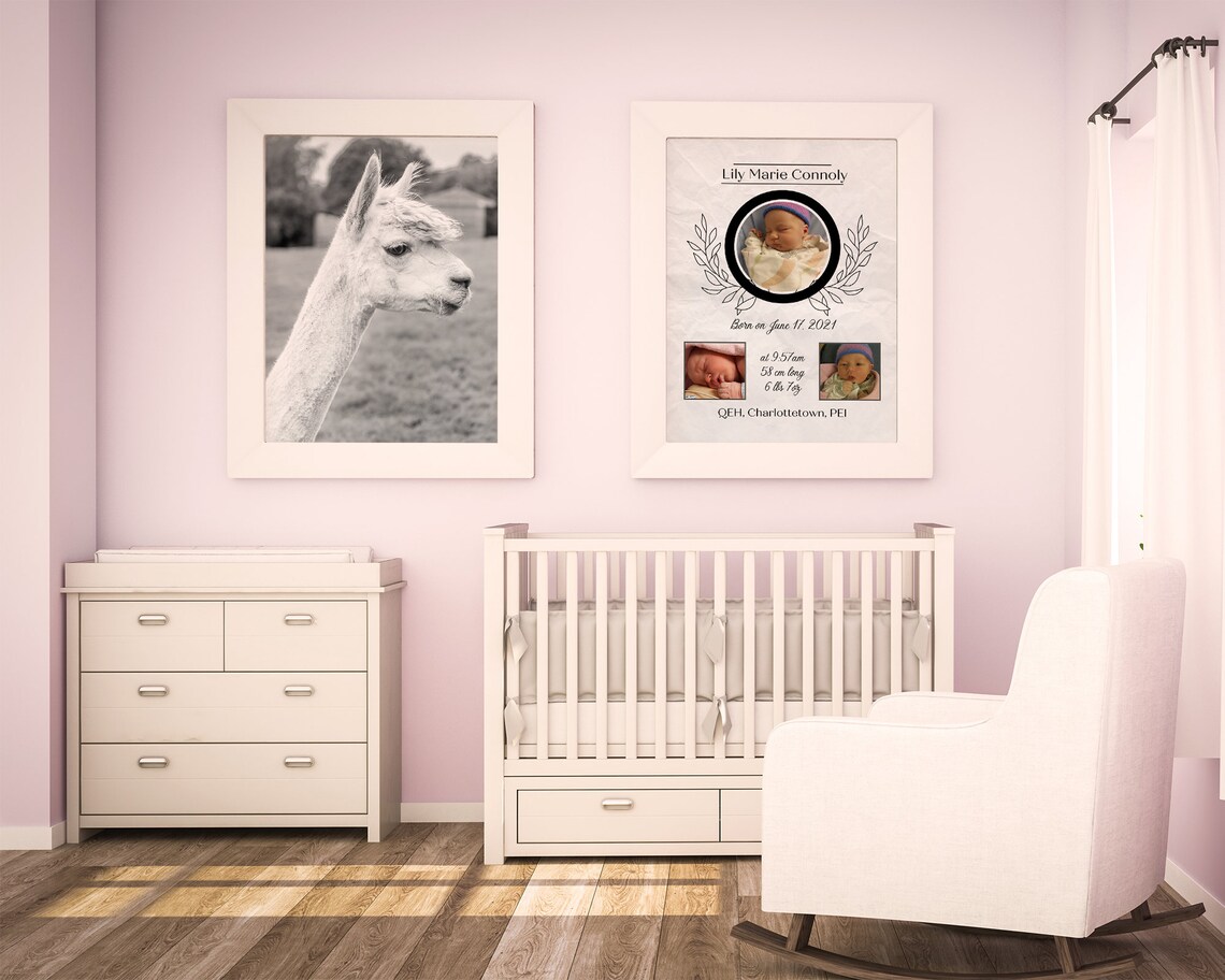 Printable Birth Stats | Baby Birth Details | Editable Canva Template ...