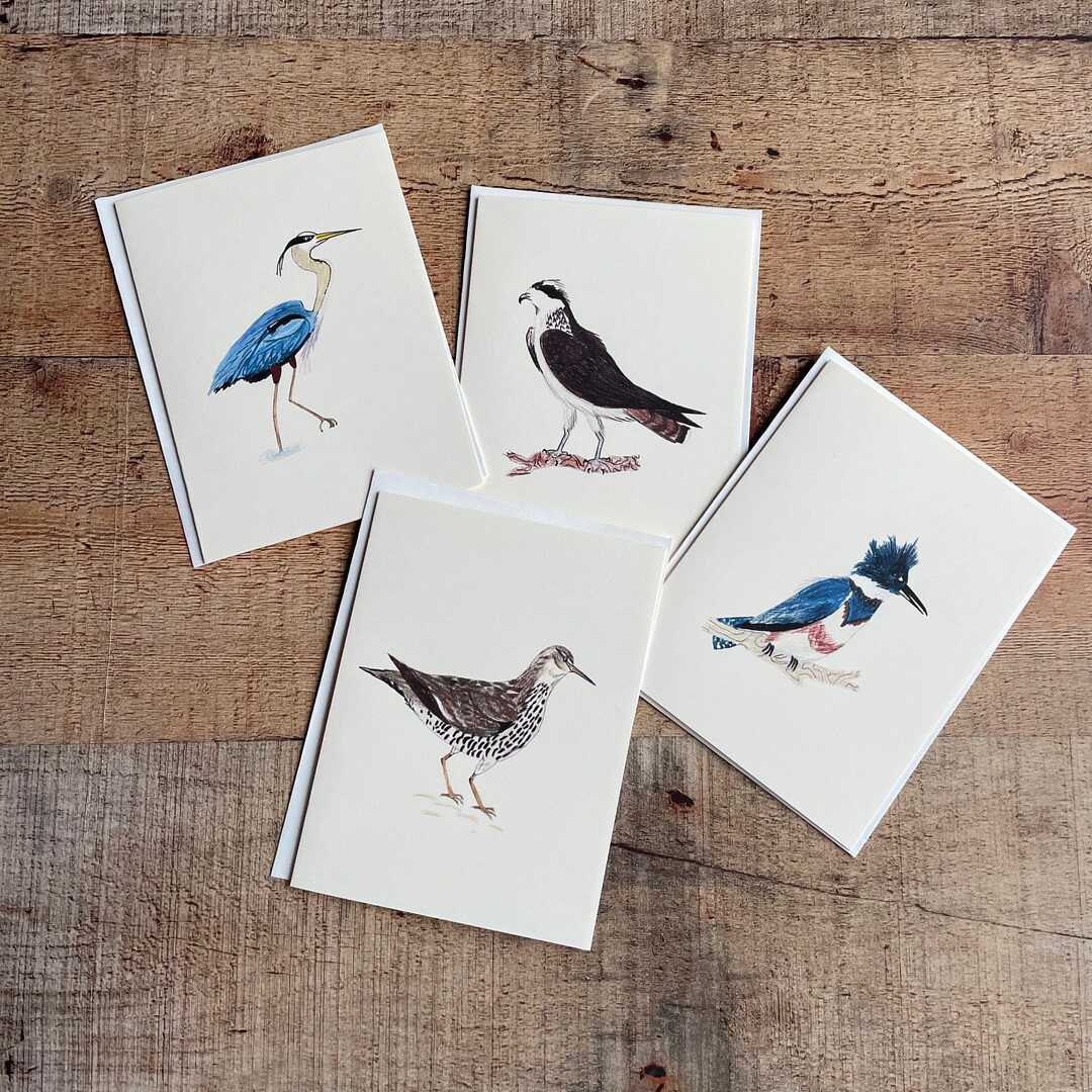 Water Birds - Hand Illustrated Notecards - Etsy