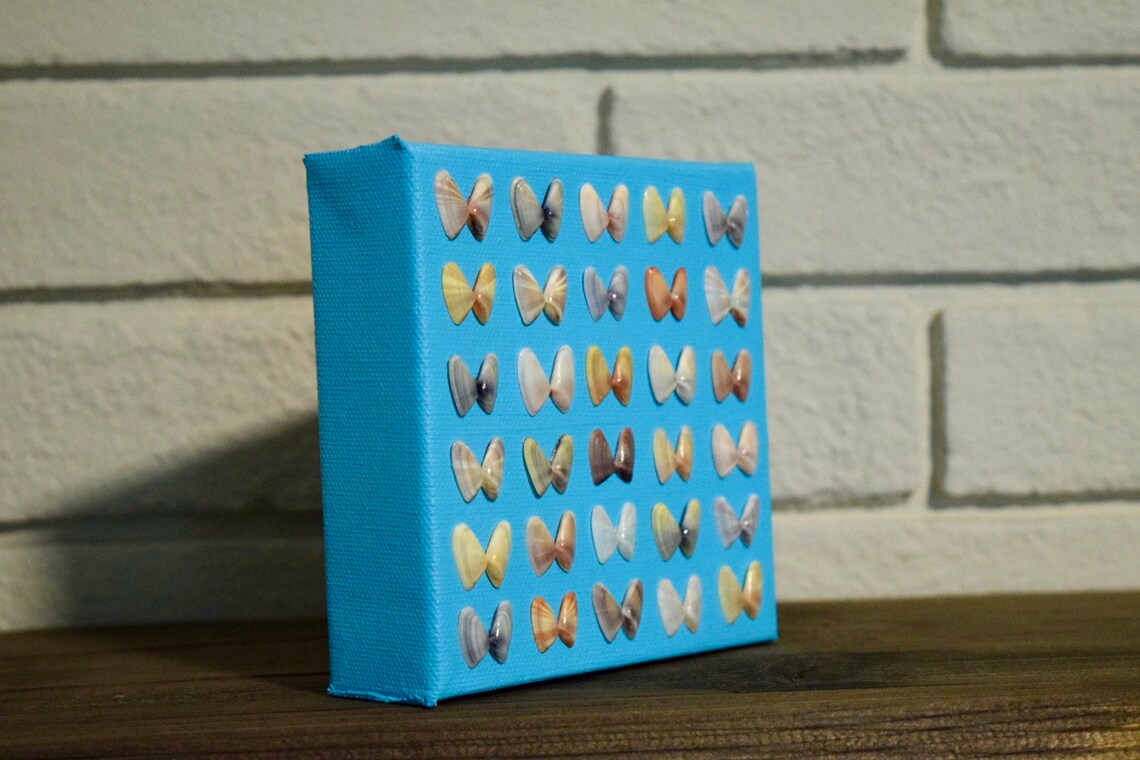 Coquina Shell Art on Mini Canvas - Etsy