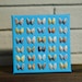 Coquina Shell Art on Mini Canvas - Etsy