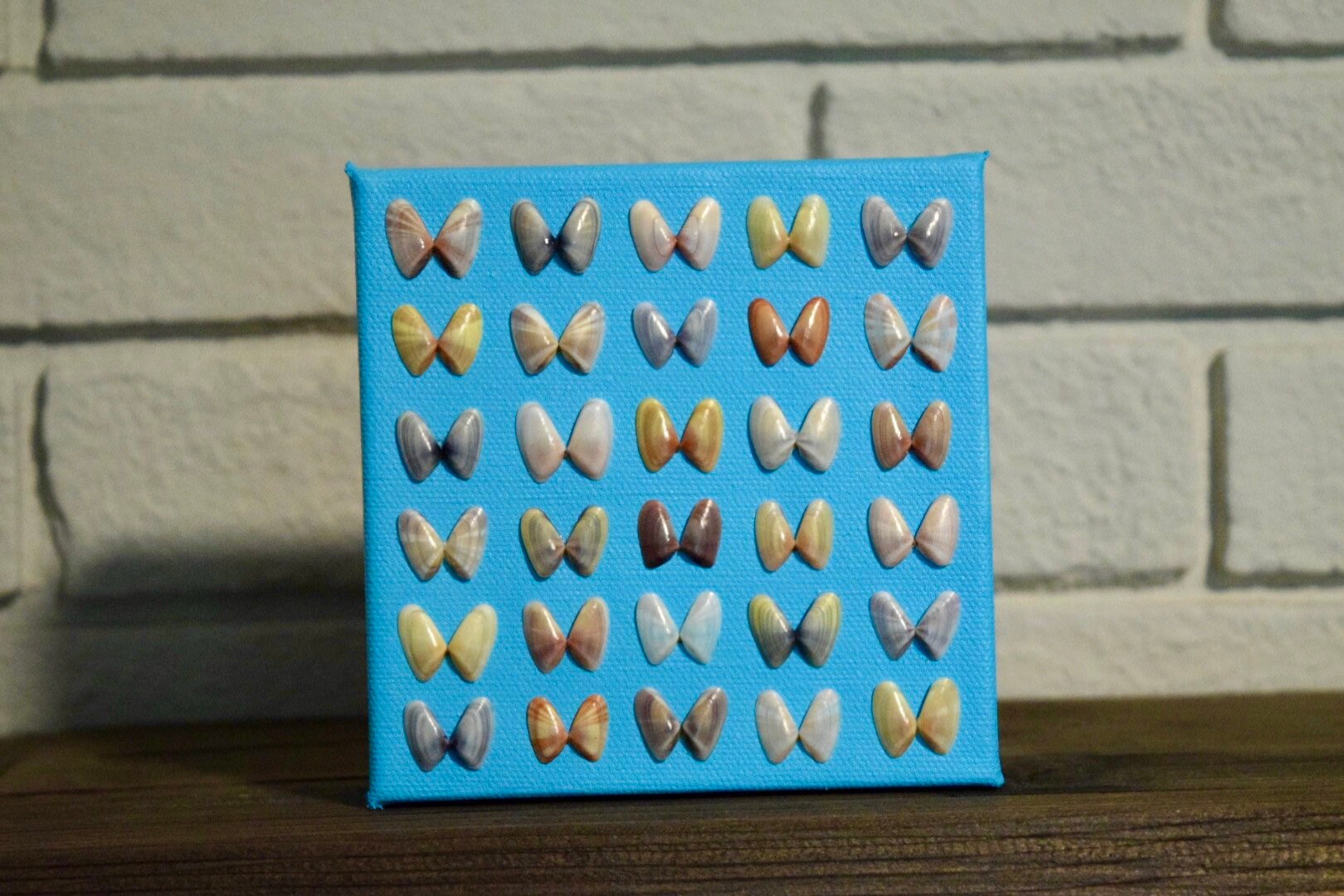 Coquina Shell Art on Mini Canvas - Etsy