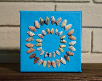Coquina Shell Art on Mini Canvas - Etsy