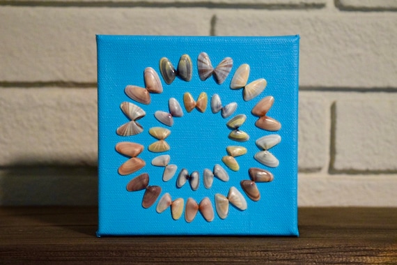Coquina Shell Crafts