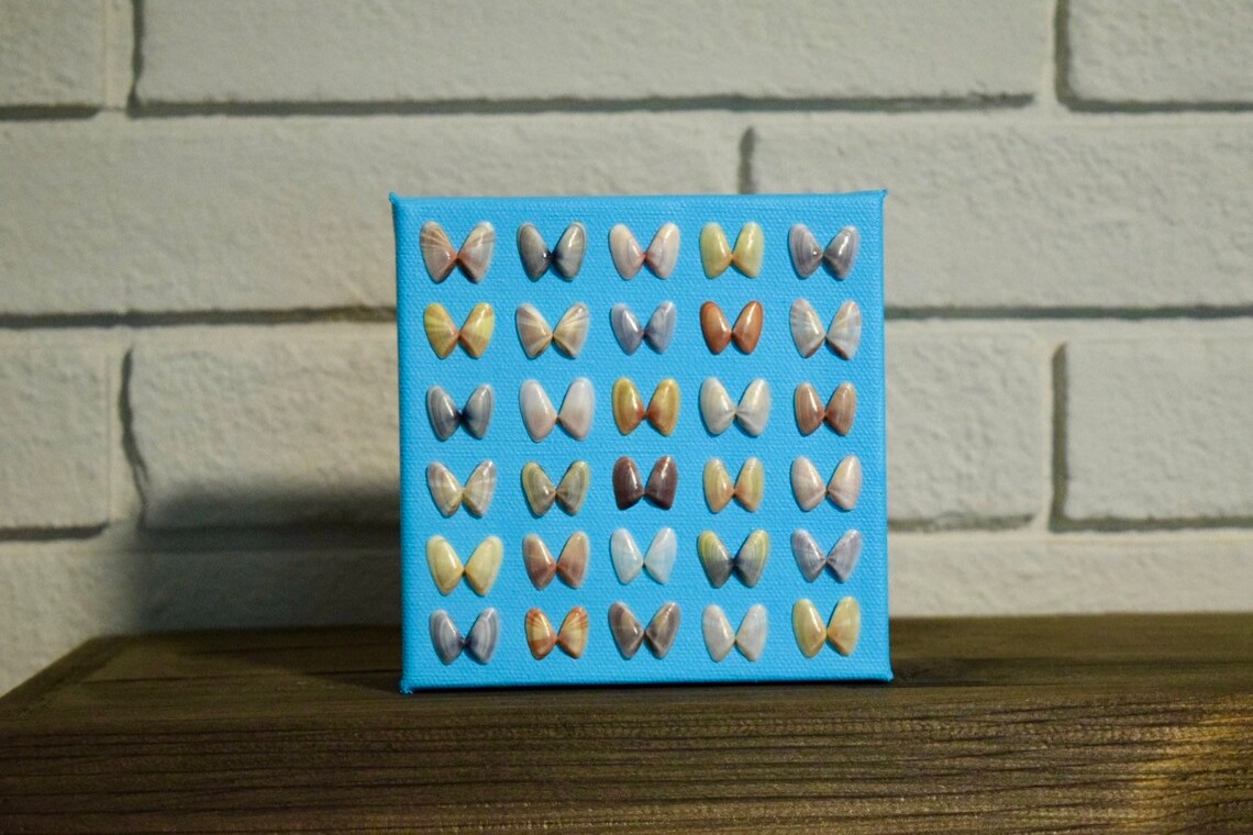 Coquina Shell Art on Mini Canvas - Etsy