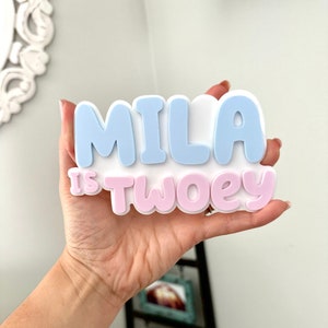 Kids 2nd Birthday Twoey Acrylic Cake Charm or Topper. - Etsy