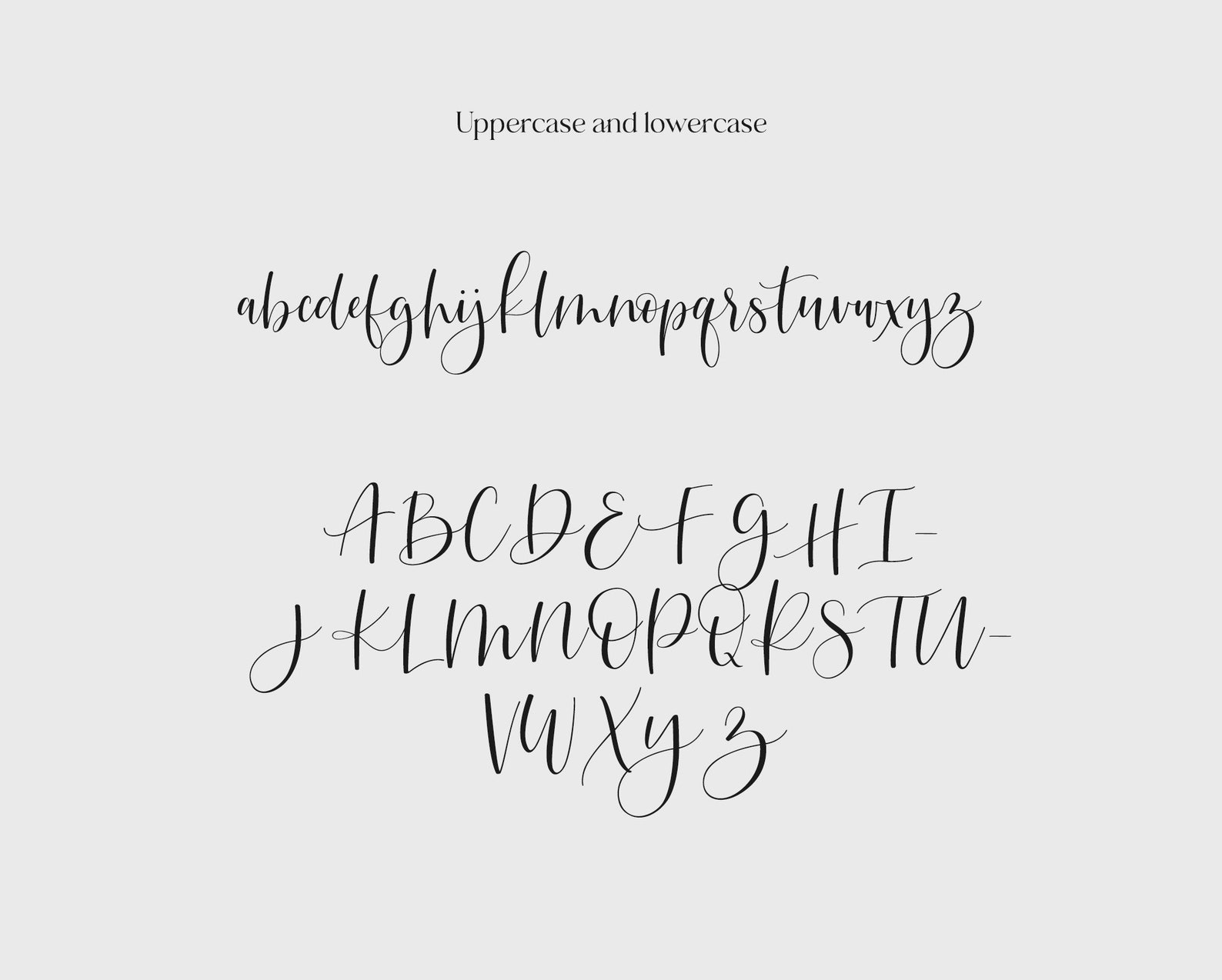 Calligraphy Font, Wedding Font Download, Script Font, Digital Font - Etsy