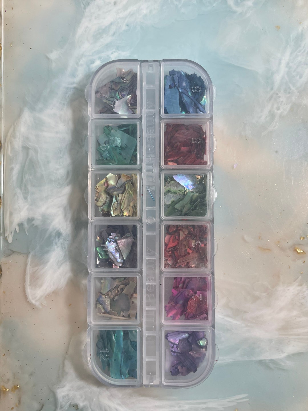 Shell Kit - Etsy