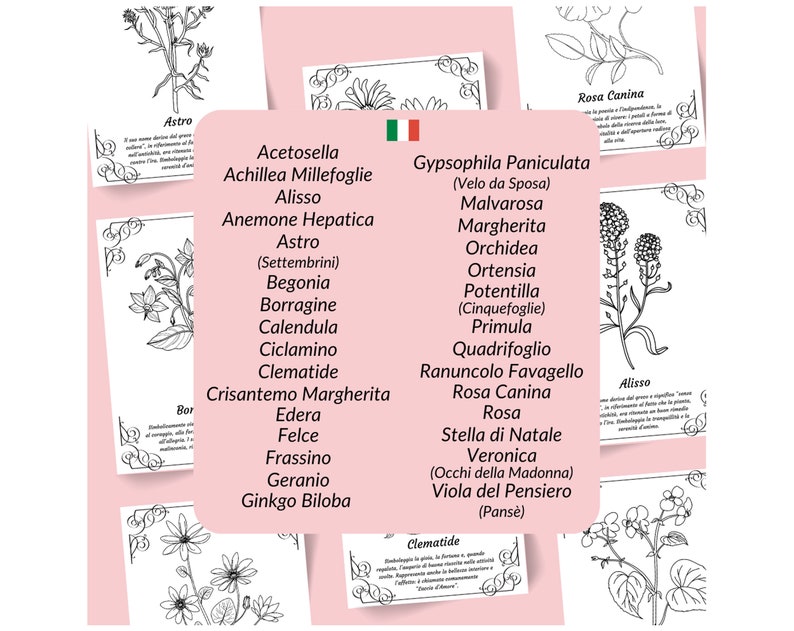 Language of Flowers and Plants 30 Printable Coloring Pages, Plants and ...