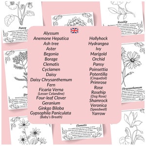 Language of Flowers and Plants 30 Printable Coloring Pages, Plants and ...