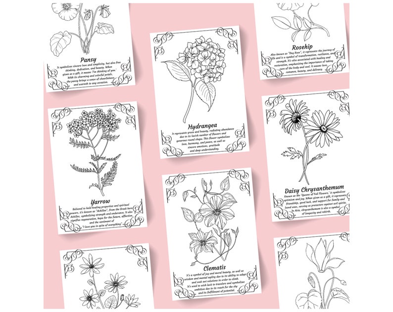 Language of Flowers and Plants 30 Printable Coloring Pages, Plants and ...