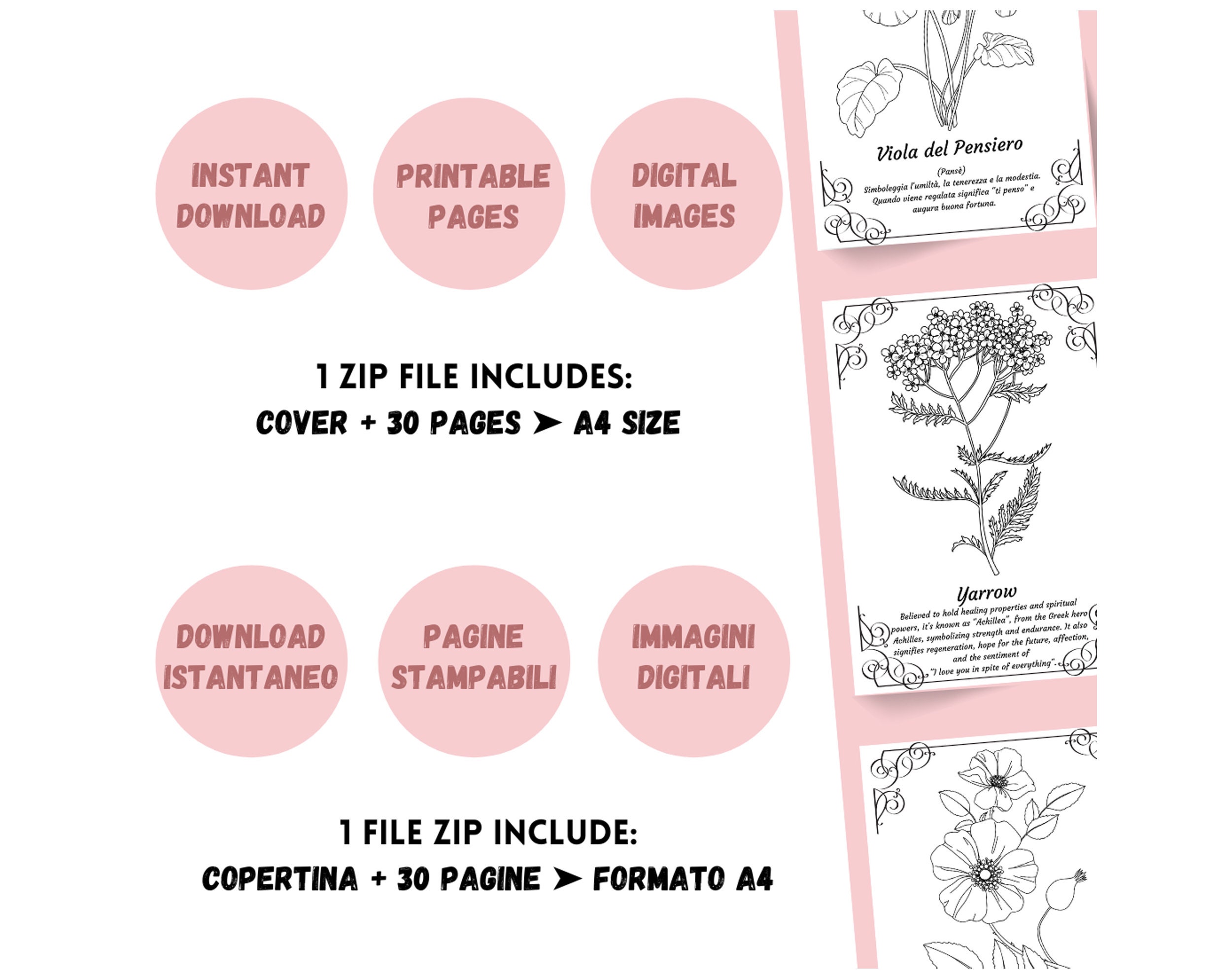 Language of Flowers and Plants 30 Printable Coloring Pages, Plants and ...