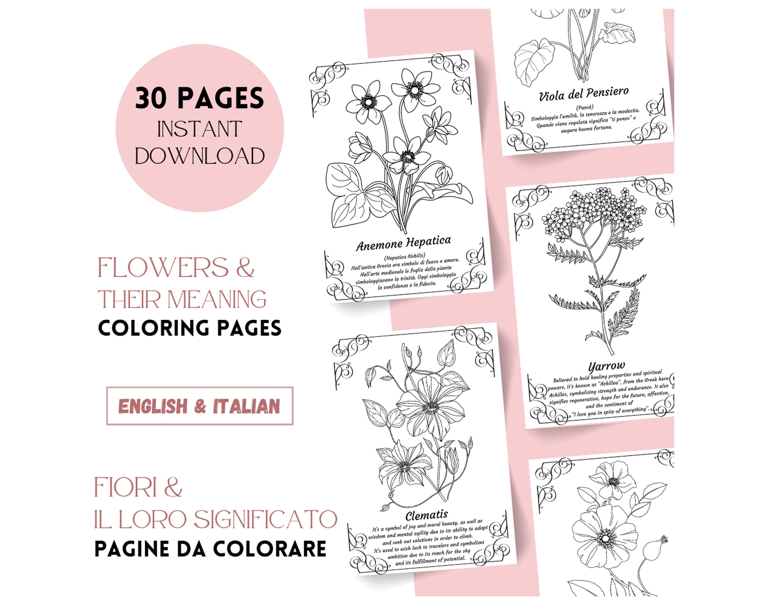 Language of Flowers and Plants 30 Printable Coloring Pages, Plants and ...