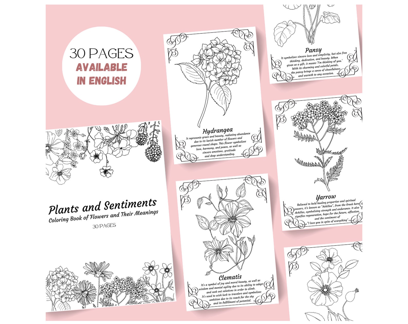 Language of Flowers and Plants 30 Printable Coloring Pages, Plants and ...