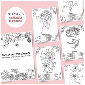 Language of Flowers and Plants 30 Printable Coloring Pages, Plants and ...