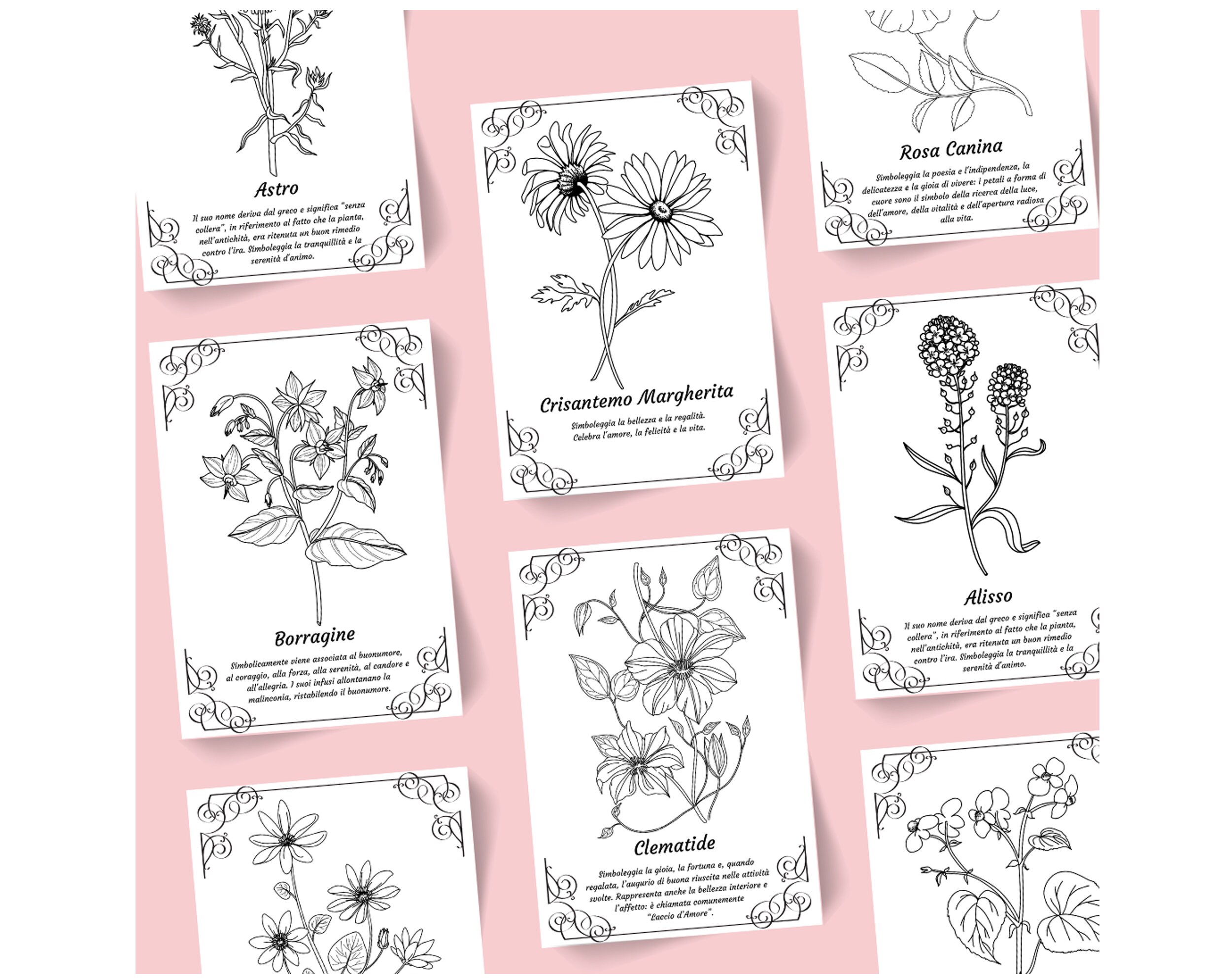 Language of Flowers and Plants 30 Printable Coloring Pages, Plants and ...
