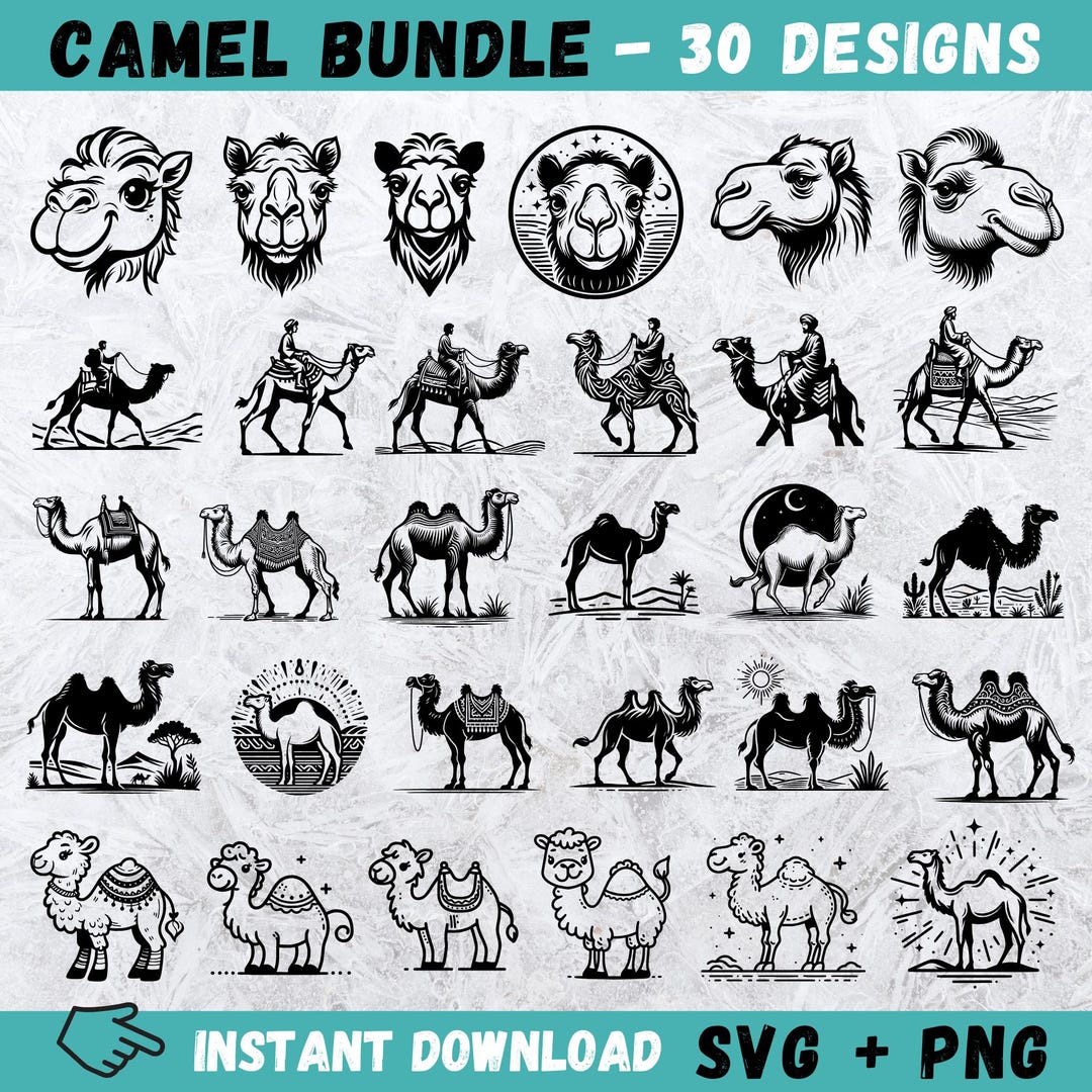Camel SVG Bundle, Camel Clipart, Desert Svg, Sublimation, Camel Cut ...