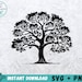 Oak Tree SVG, Tree Svg, Big Tree Svg, Oak Tree Cricut, Oak Svg, Outdoor ...