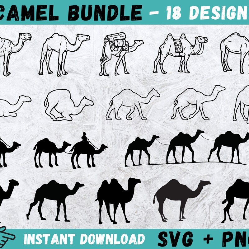 Camels - Etsy