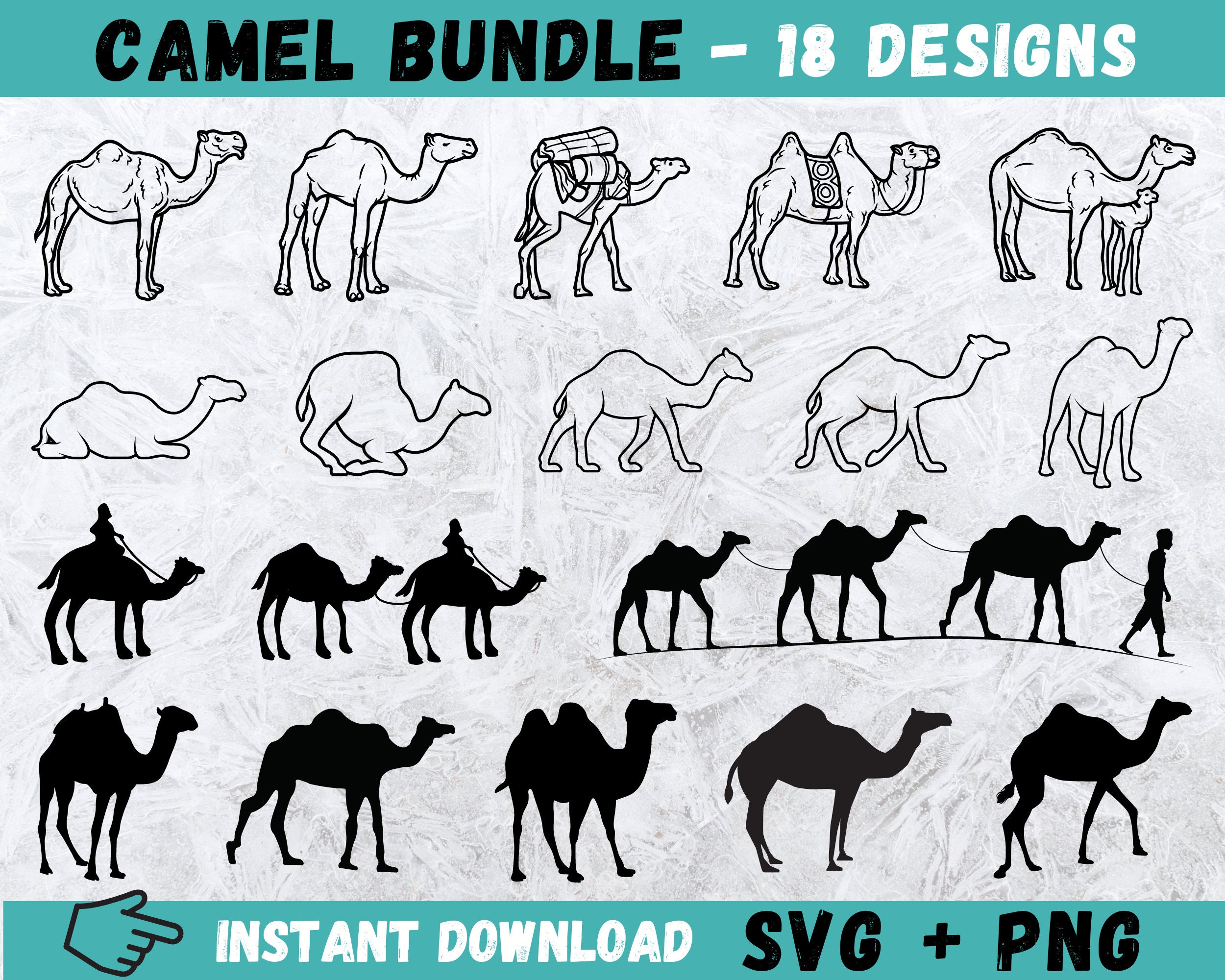 Camel SVG Clipart Bundle: Hand-drawn Desert Animal Designs (digital ...