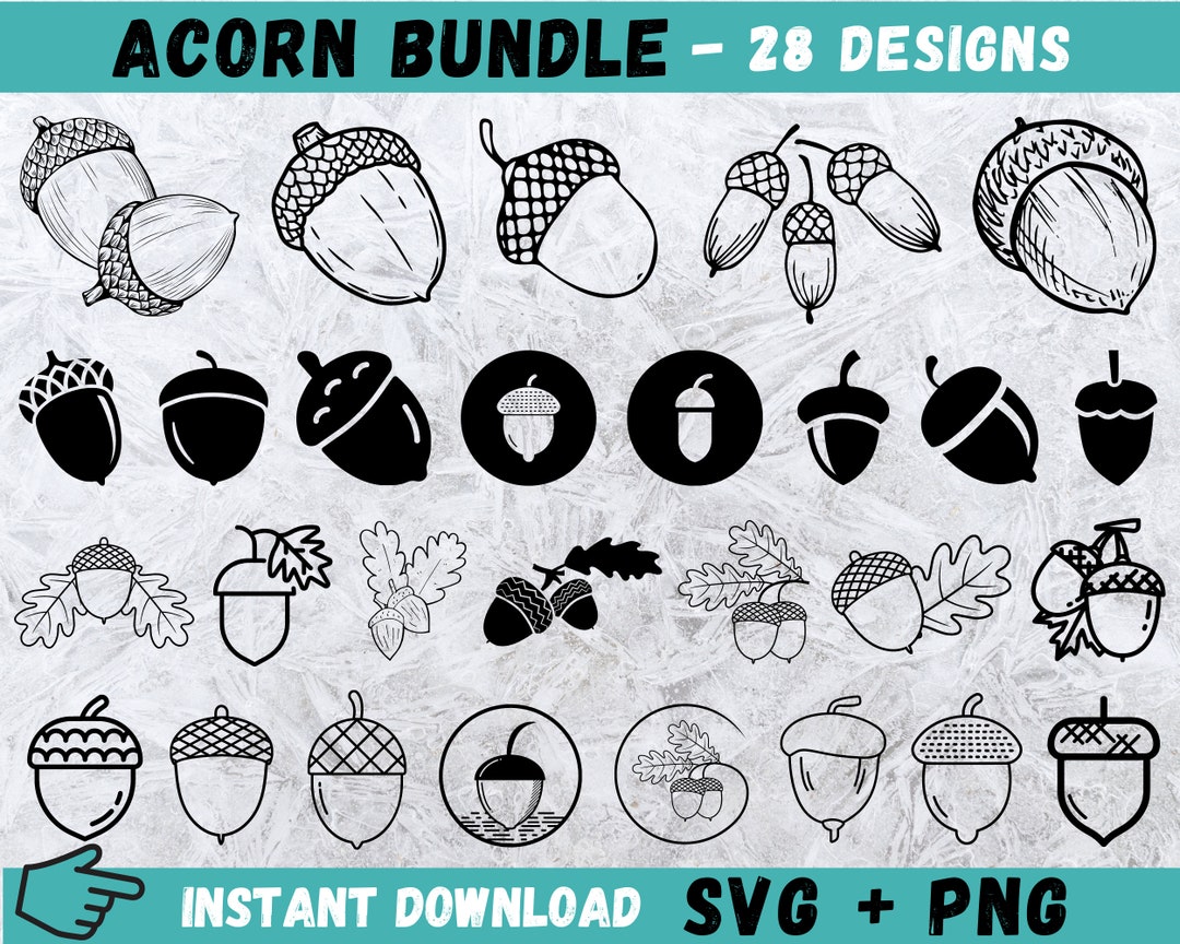 Acorn SVG Bundle: Hand-drawn Acorn Clipart (28 Designs) (digital ...