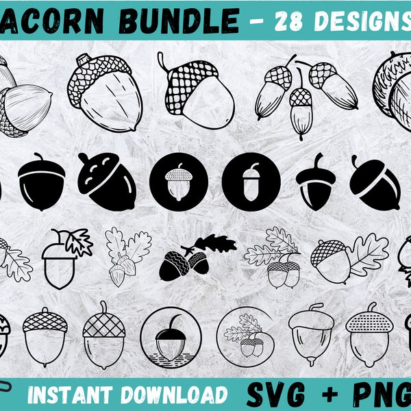 Acorn - Etsy