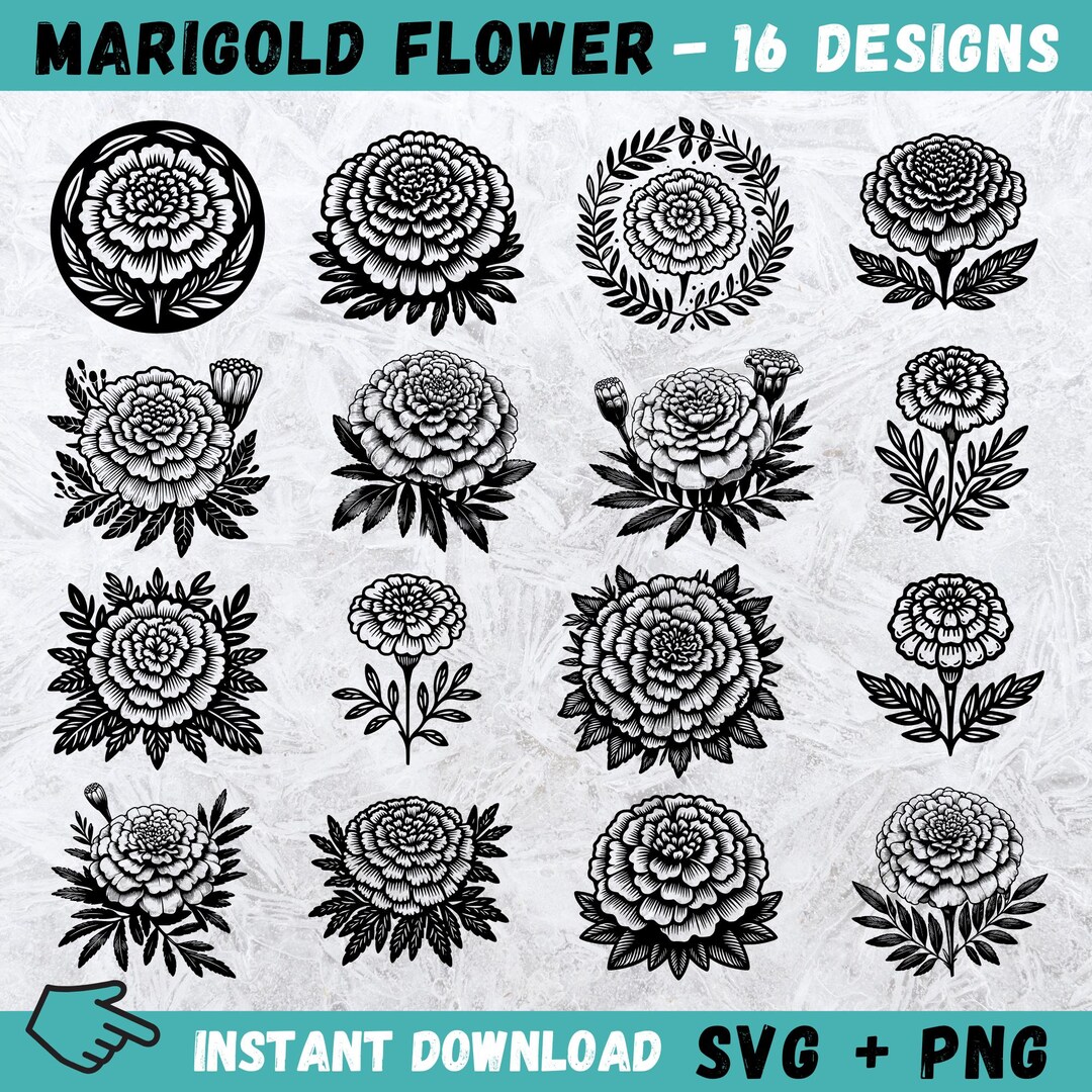 Marigold Flowers SVG, Flowers Svg, Flower Silhouette, Marigold SVG ...