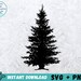 Pine Tree SVG, Forest Tree Svg, Forest Svg, Christmas Tree Svg ...