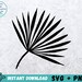 Palm Leaf SVG, Palm Leaves Svg, Hand Drawn Leaves Svg, Palm Leaf Cricut ...