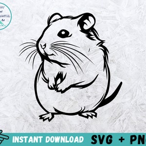 Hamster SVG, Cute Hamster Cricut, Cartoon Hamster Svg, Guinea Pig Svg ...