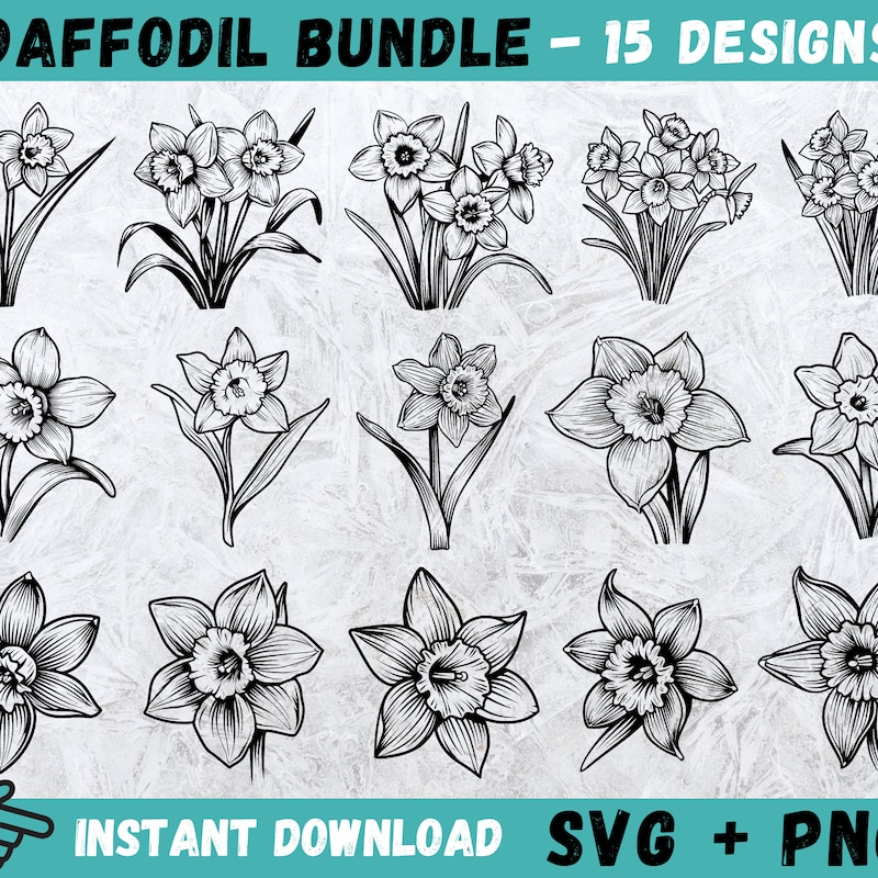 Daffodil Clipart - Etsy