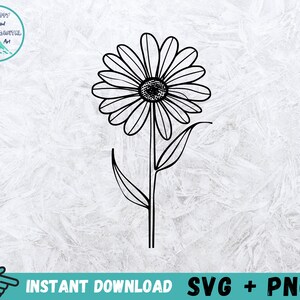 Daisy SVG Bundle: Hand-drawn Floral Clipart (instant Download) - Etsy