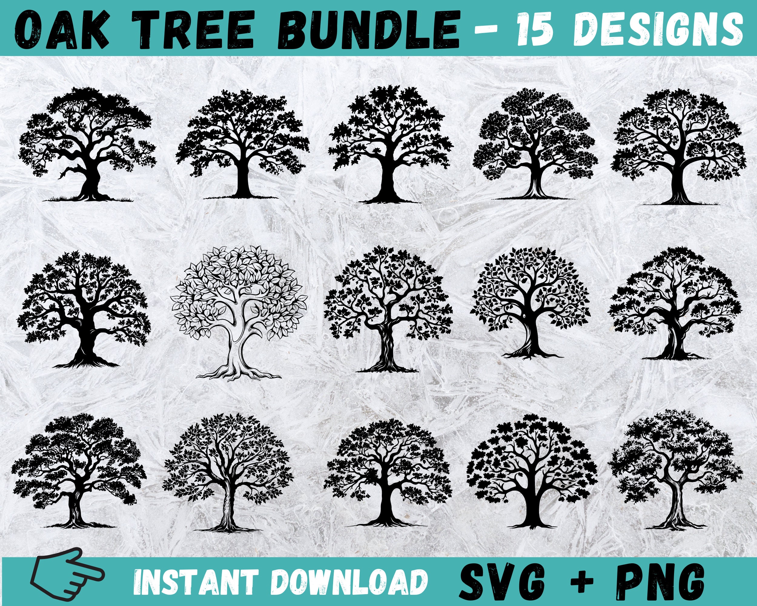 Oak Tree Design