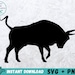 Bull SVG Bundle: Hand-drawn Designs (digital Download) - Etsy