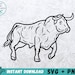 Bull SVG Bundle: Hand-drawn Designs (digital Download) - Etsy