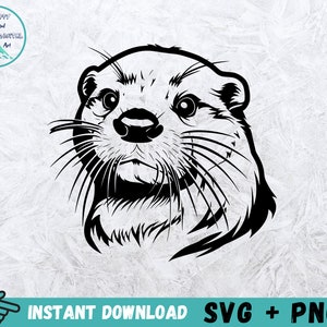 Otter SVG Bundle, Otter Cricut, Otter Head Svg, Otter Vector, Otter Cut ...