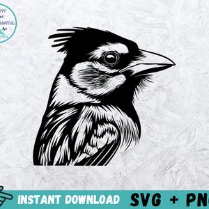 Jay SVG, Bird Clipart, Blue Jay Cut Files, Jay Silhouette, Flying Bird ...
