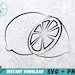 Lemon Svg, Lemon Cricut, Lemon Vector File, Lemon Svg Bundle, Lemon ...