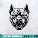 Pitbull SVG Bundle: Hand Drawn Dog Vector Clipart (24 Designs) - Etsy