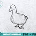 Duck SVG Bundle: 30 Hand-drawn Designs (digital Download) - Etsy