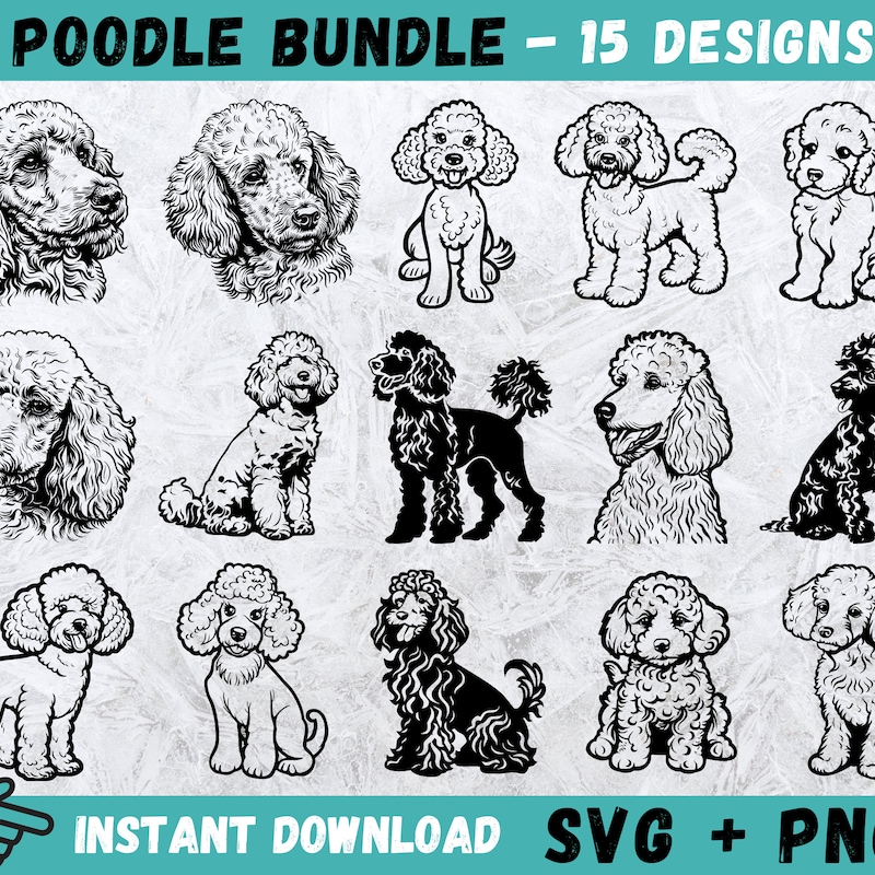 Poodle Svg - Etsy