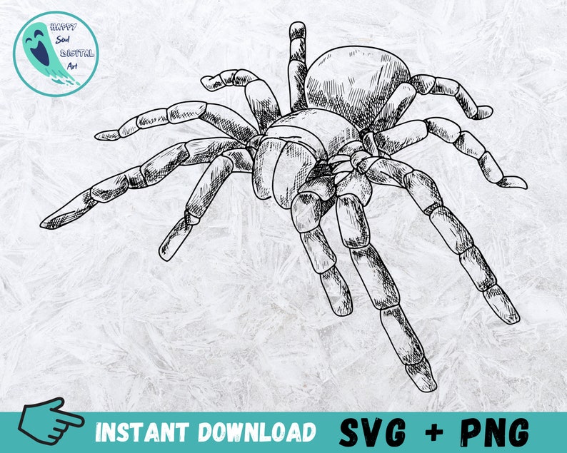 Spider SVG Bundle, Spider SVG, Spider Clipart, Spider Design, Spider ...