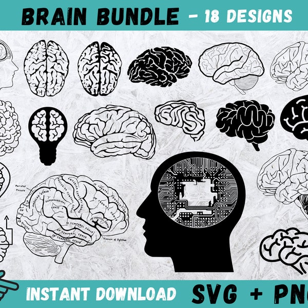 Brain - Etsy