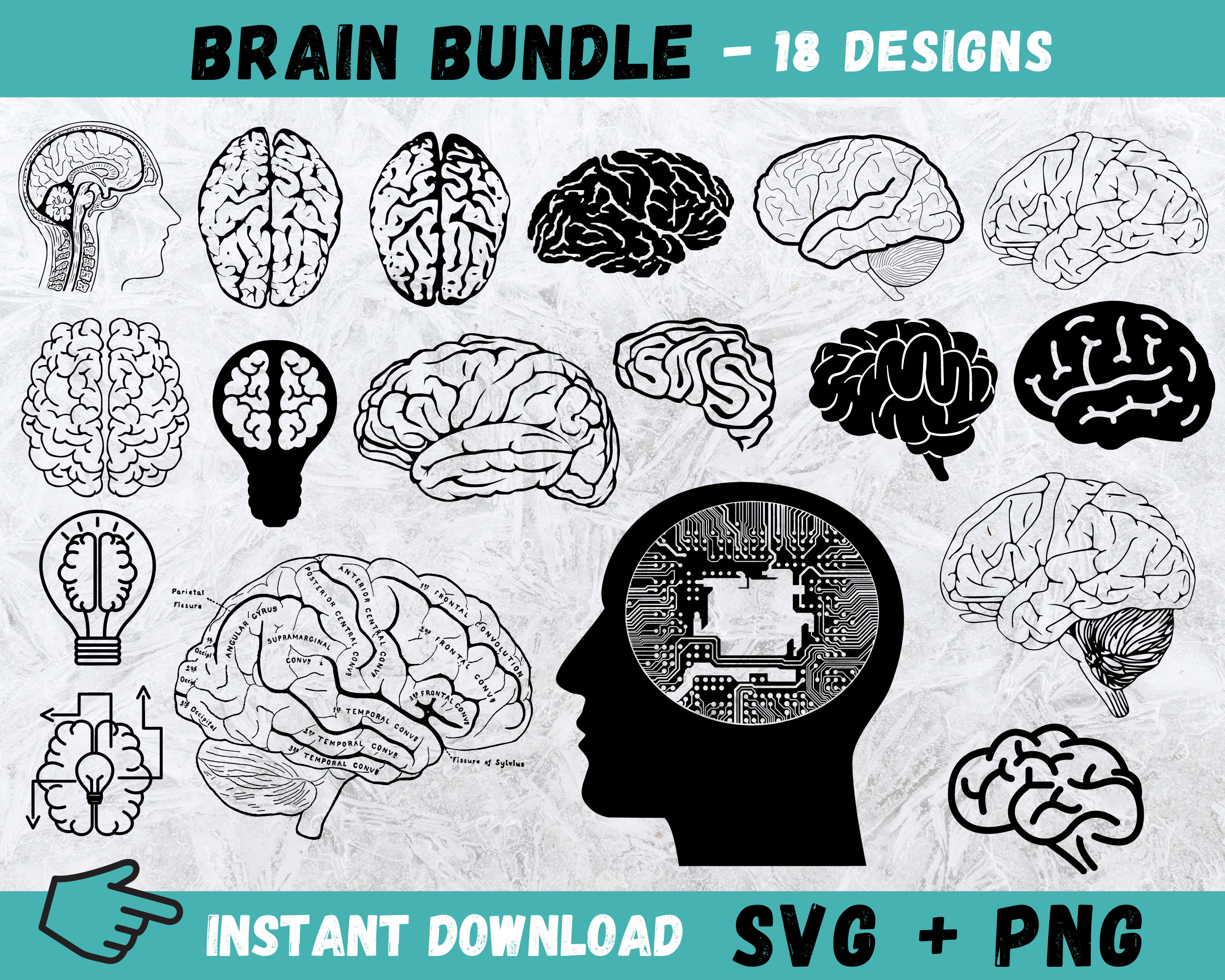 Brain SVG Human Brain Svg Brain Clipart Mind Svg Brain Svg - Etsy